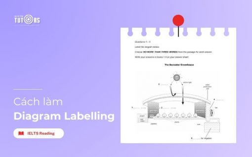 Dạng bài Diagram Labelling trong IELTS Reading: Cách làm chi tiết