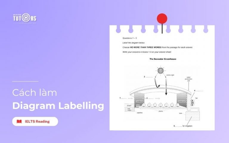 Dạng bài Diagram Labelling trong IELTS Reading: Cách làm chi tiết