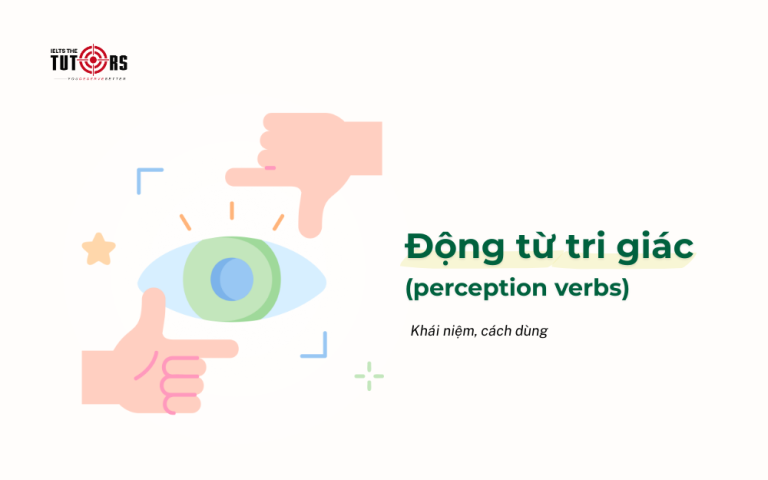 Động từ tri giác (perception verbs): Khái niệm, cách dùng